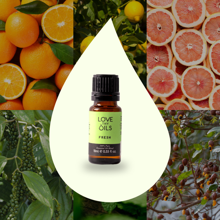 Fresh Essential Oil Blend 10ml | Aromatherapy Blend For Cold & Flu ...