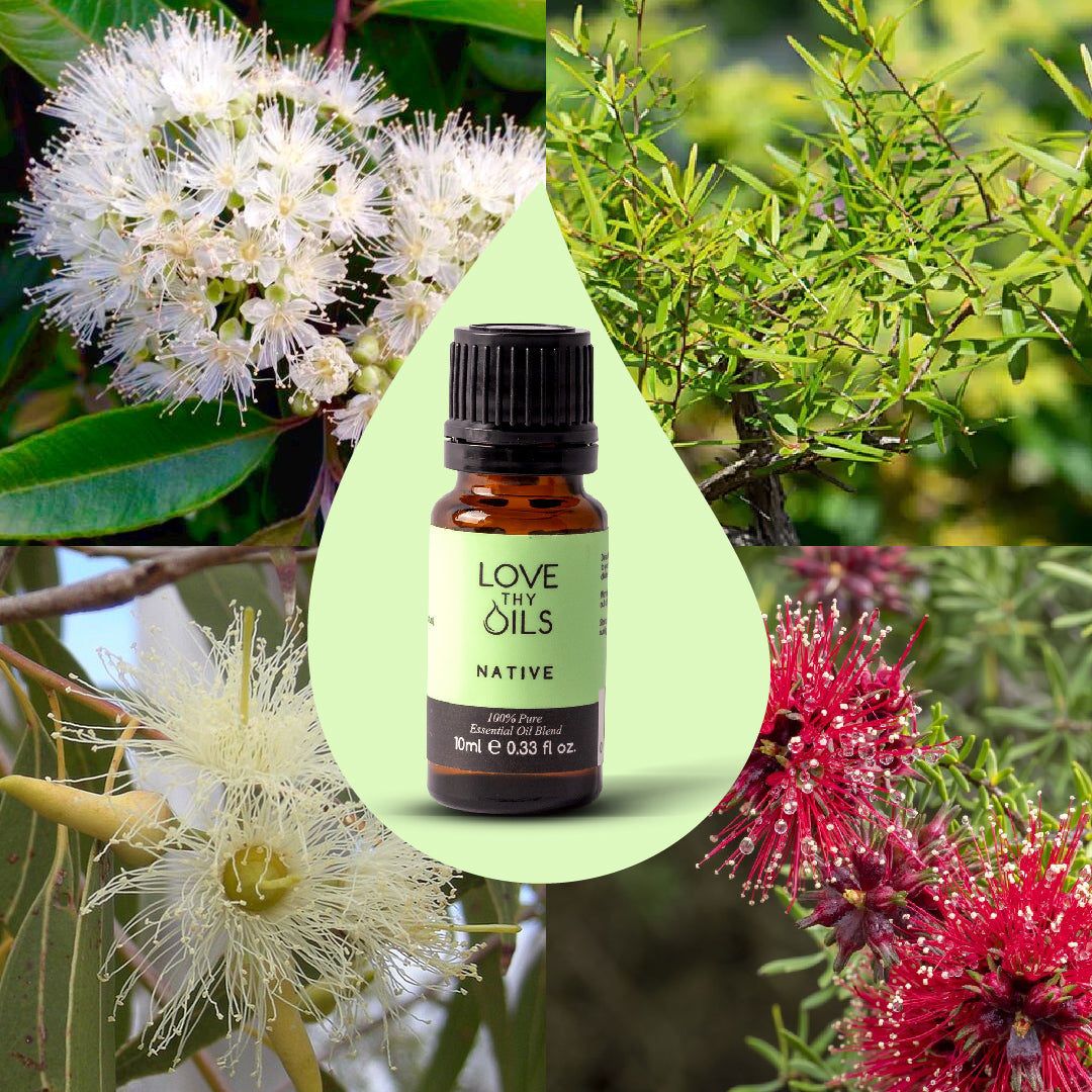 Native Essential Oil Blend 10ml – Love Thy Oils