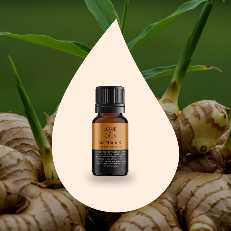 Ginger Essential Oil 10ml – Love Thy Oils